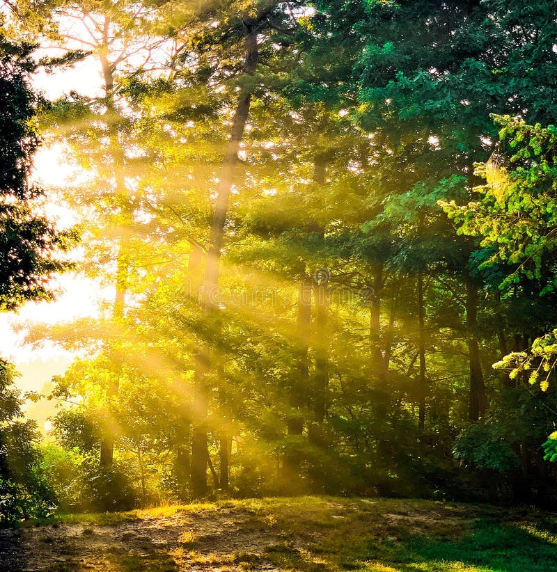 4,525 Dawning Morning Photos - Free & Royalty-Free Stock Photos from ...