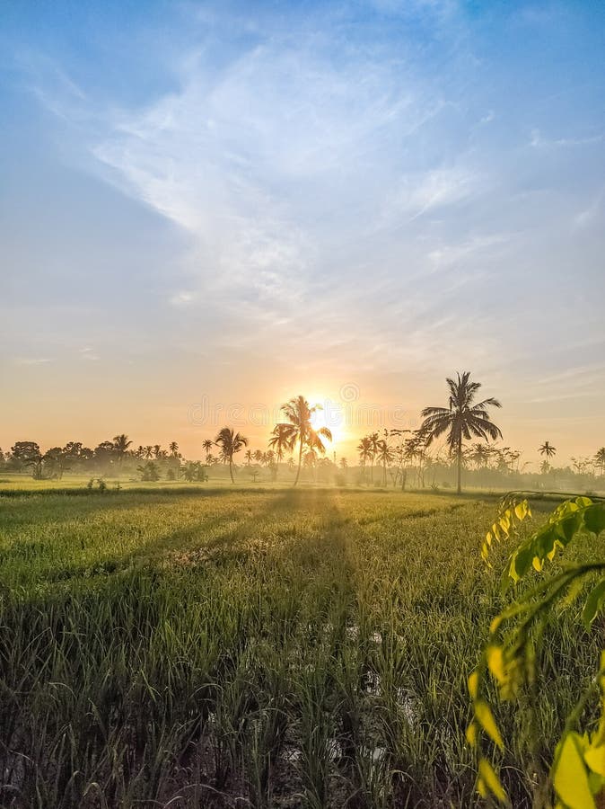 Morning sunrise beautiful stock image. Image of nature - 222343433