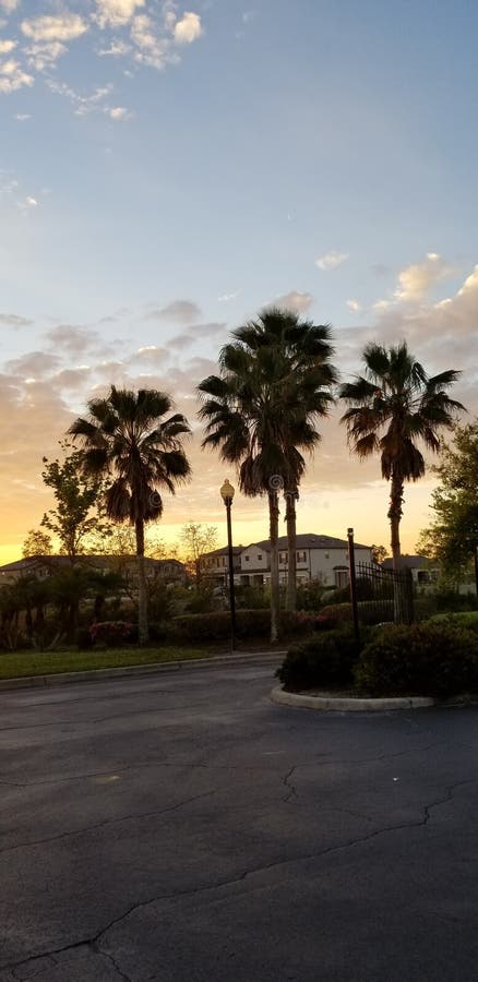 Morning Sunrise Florida Beauty No Filter Stock Photo - Image of florida ...