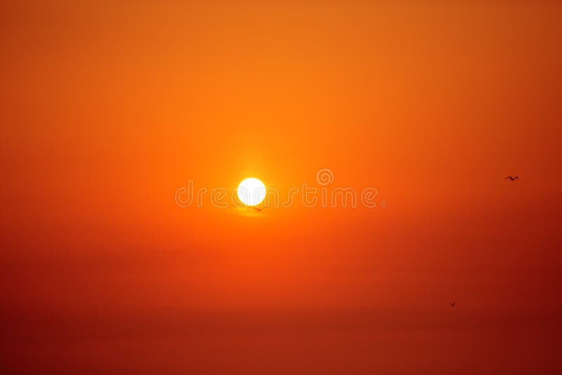 Morning Sunrise and Flying Birds Stock Photo - Image of cloudscape ...