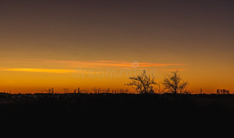 Morning Sunrise Over Dark Bushes and Trees at Fall Stock Photo - Image ...