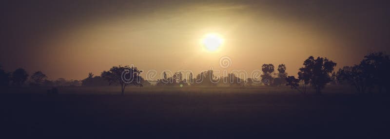 The Morning Sunrise and Tree Shadow Stock Image - Image of orange ...