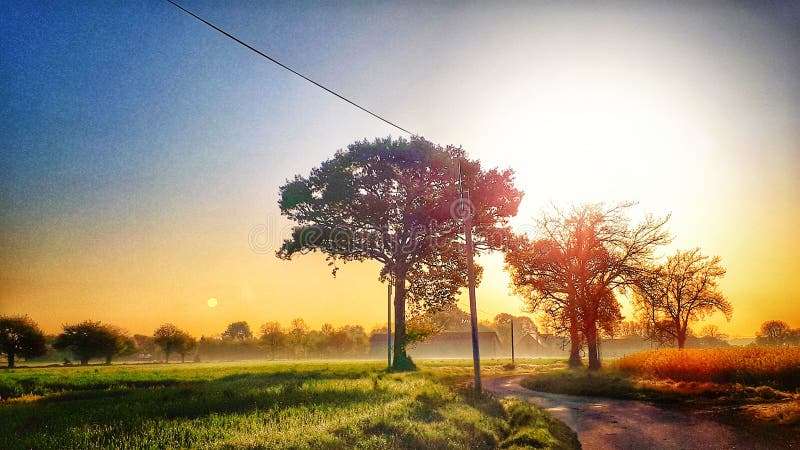 Morning sunset stock image. Image of shadows, trees - 115374311