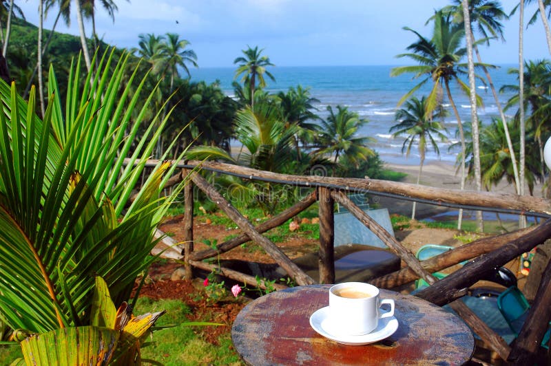 The morning tea. stock image. Image of asia, tourist, india - 5442725