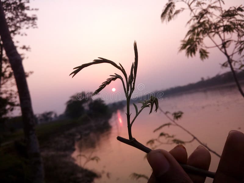 Morning Time...........nnnnnn..... Stock Image - Image of morning ...