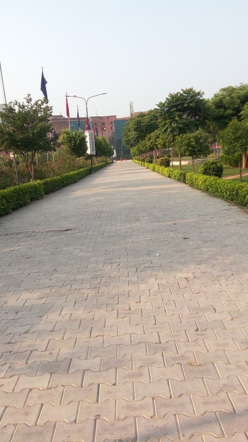 Pavement path stock photo. Image of walk, path, pavement - 115106596