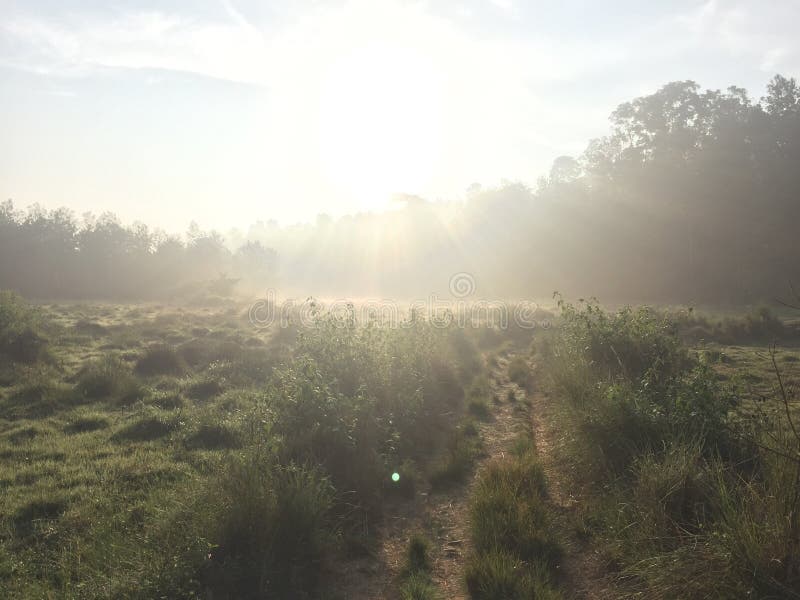 Morning trails stock photo. Image of morning, trails - 72425474