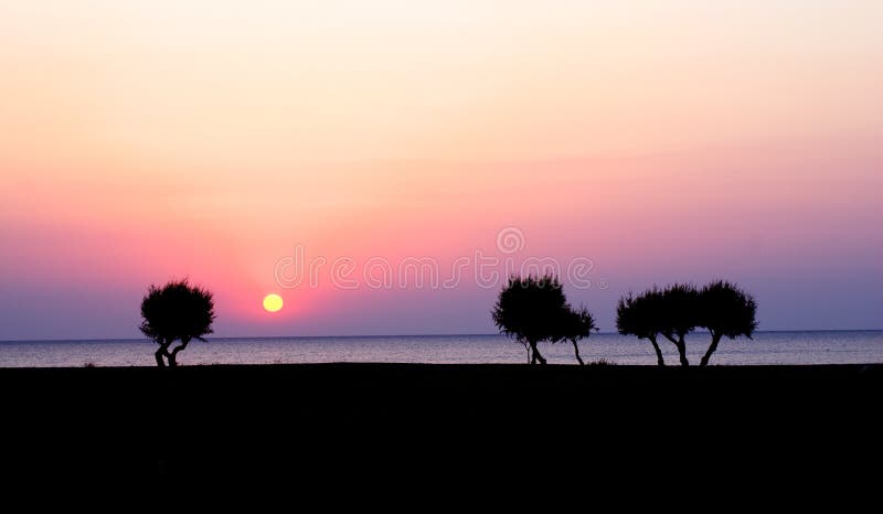 Morning Due In Trees - Cold Breeze Stock Photo - Image of adventure ...