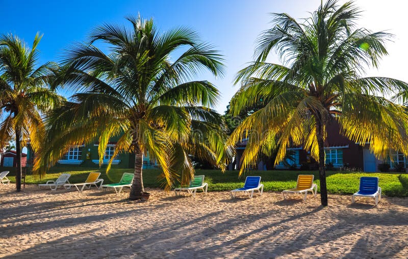 Morning in tropical resort stock photo. Image of caribbean - 35314340