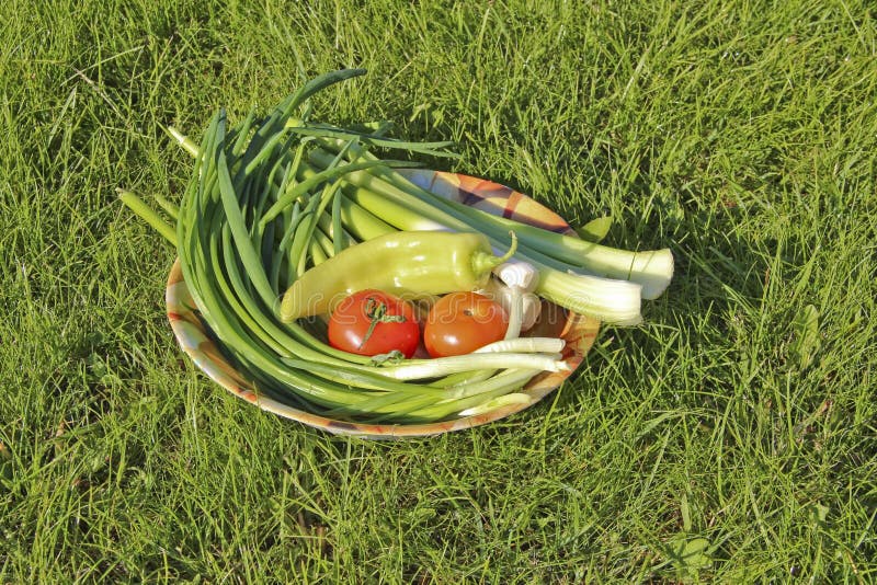 Morning vegetables stock photo. Image of diet, heap, spinach - 44102922