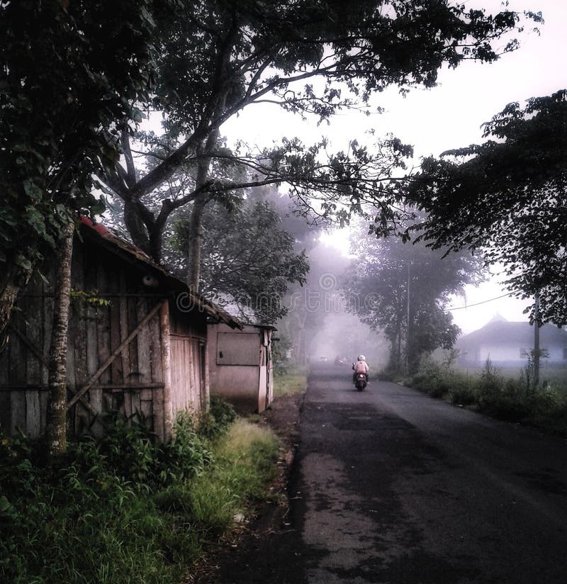 Morning Vibe , Morning Light , Sunrise Stock Image - Image of light ...