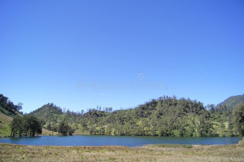 Morning Vibes at Ranu Kumbolo Mount Semeru Stock Image - Image of grass ...