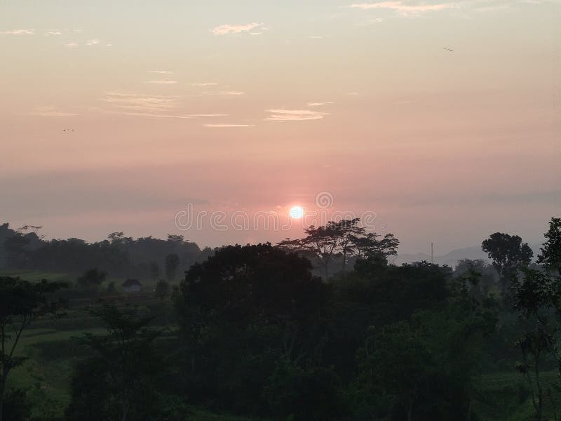 Morning View with Bright Sun View of Rice Fields Stock Image - Image of ...