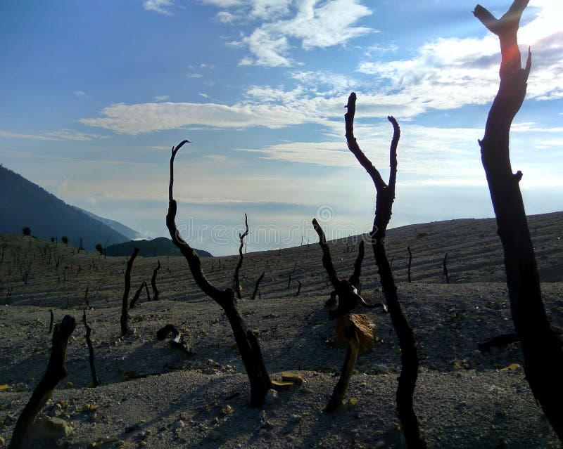 Morning View at Dead Forest Papandayan Mountain Stock Photo - Image of ... Morning View at Dead Forest Papandayan Mountain Stock Photo - Image of ...