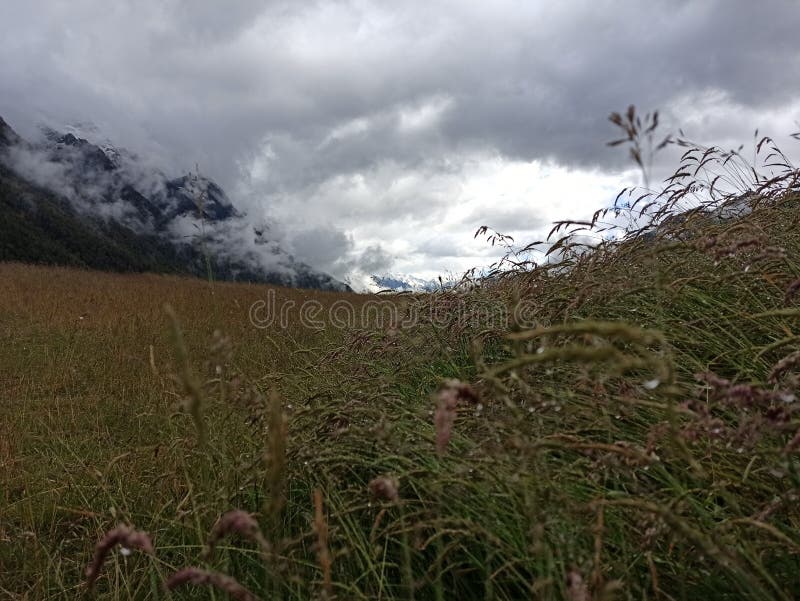 Morning view from downside stock image. Image of downside - 202737851