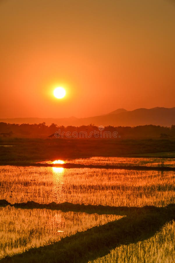 Morning View Fields stock image. Image of view, season - 54683931