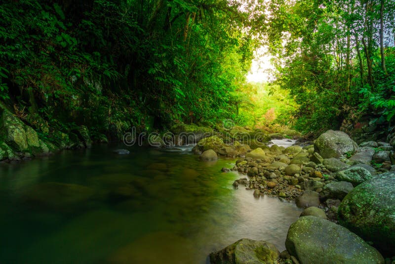 Indonesian Landscape in the Morning with a Waterfall Inside a Beautiful ...