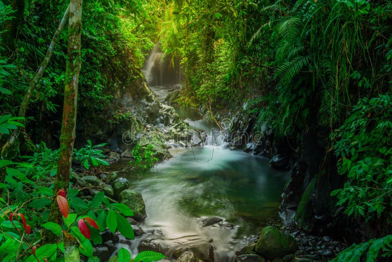 Indonesian Landscape in the Morning with a Waterfall Inside a Beautiful ...