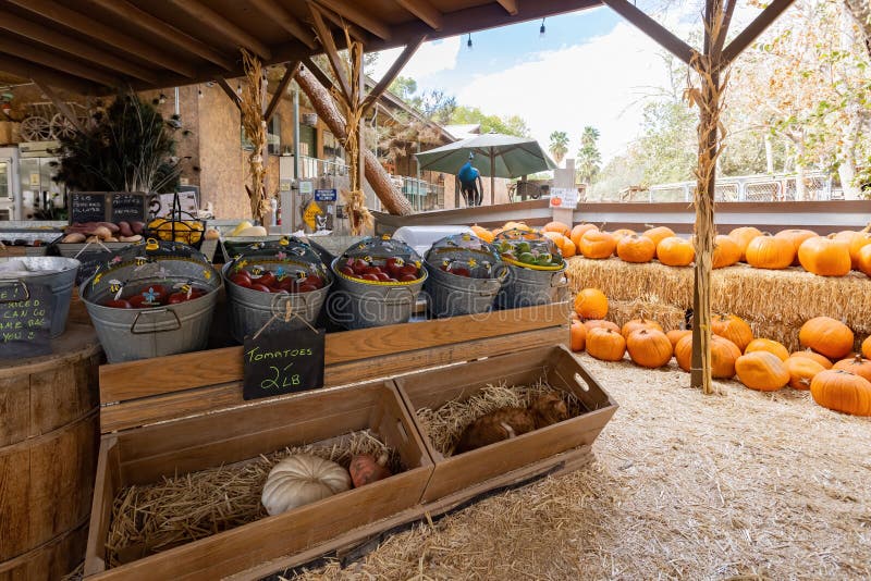 Morning View of the Las Vegas Farm Editorial Stock Image - Image of ...