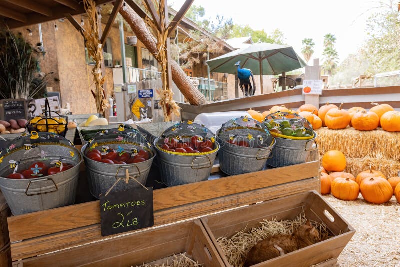 Morning View of the Las Vegas Farm Editorial Stock Photo - Image of ...