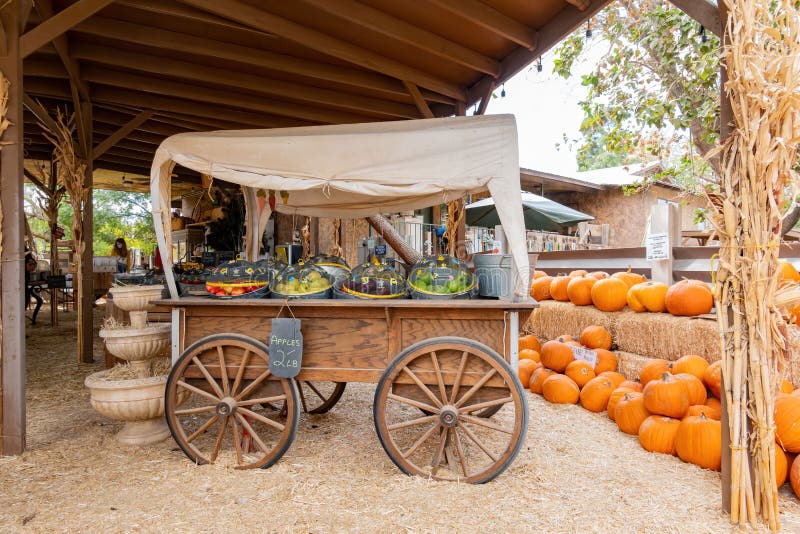 Morning View of the Las Vegas Farm Editorial Image - Image of nevada ...