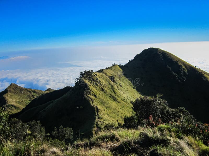 Morning View of Mount Merapi from the Top Stock Photo - Image of beauty ...