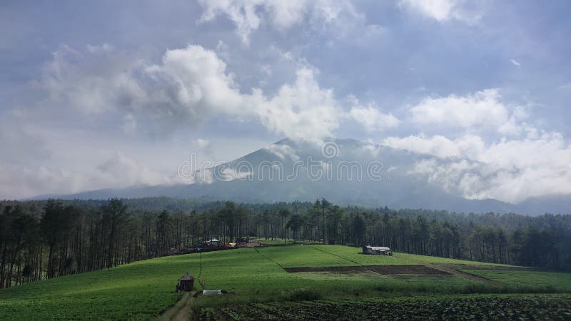 Morning View of Mountains, Forests, Vegetable Plantations on Jengkoang ...