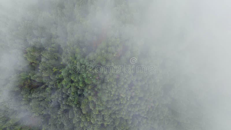 Morning View of the Oregon Coastlne with Fog Rolling in Stock Image ...
