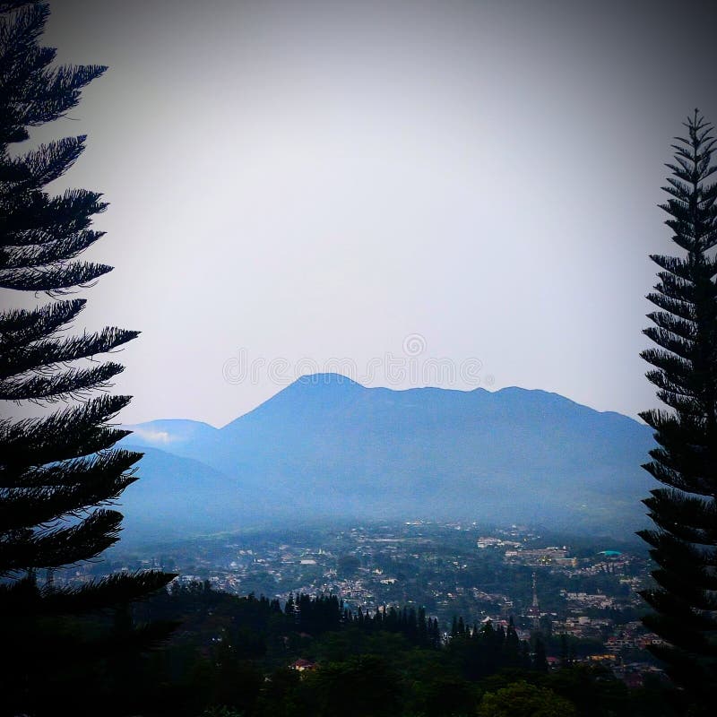 Morning View at Puncak Bogor Stock Photo - Image of bogor, pangrango ...