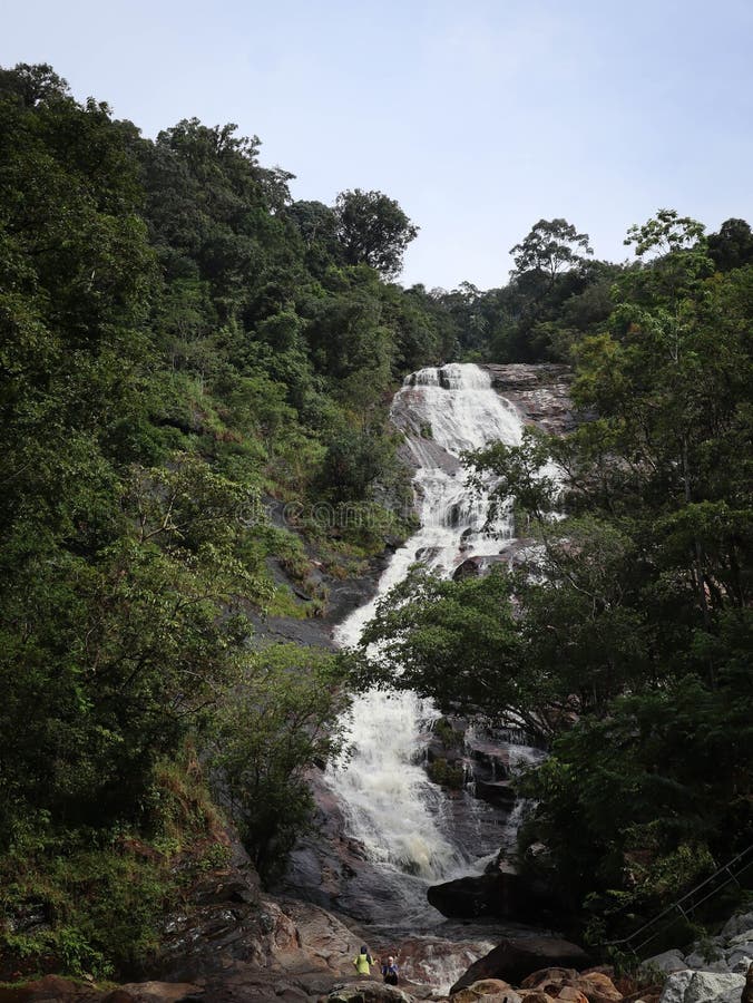 Portrait of a Rain Forest Waterfall Stock Photo - Image of tropical ...