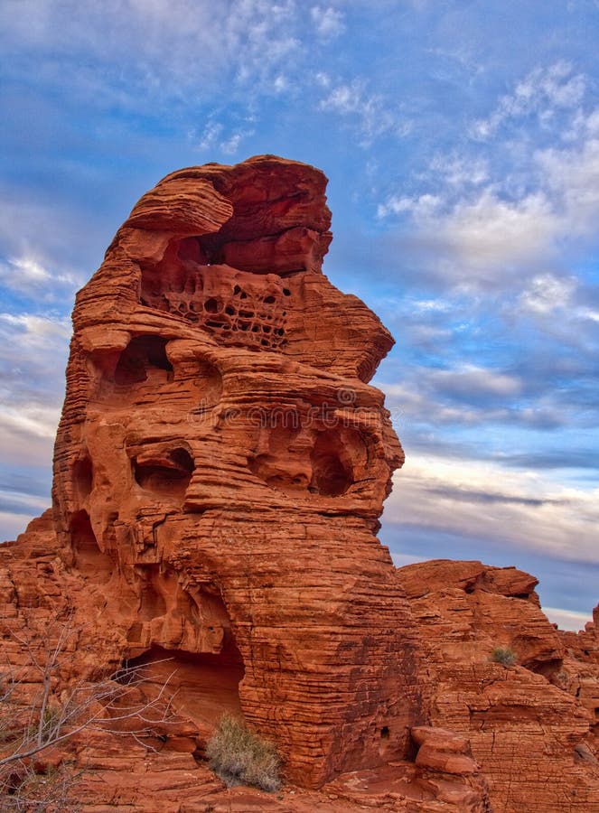 Red Rock Structure and Cactus in Valley of Fire, Nevada, USA Stock ...