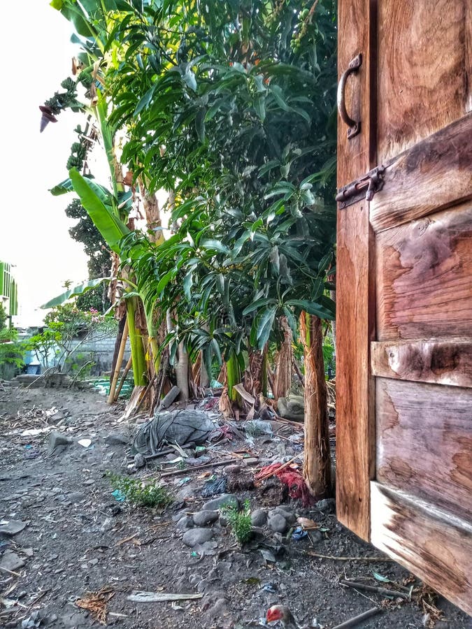 Morning View in a Simple House in the Village Stock Image - Image of ...