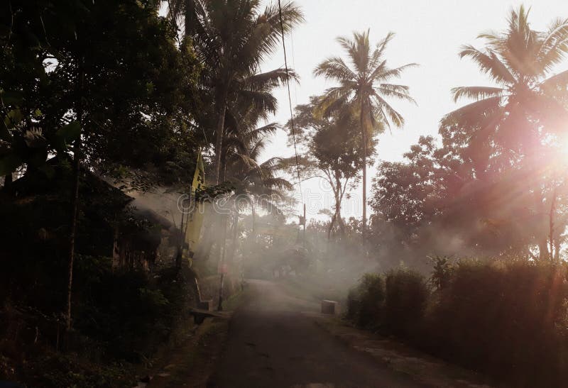 Morning View, Sunlight and Smoke from Tiny House Stock Image - Image of ...