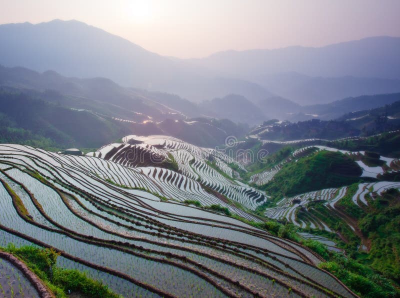 Morning view of terrace stock image. Image of asia, guilin - 9855287