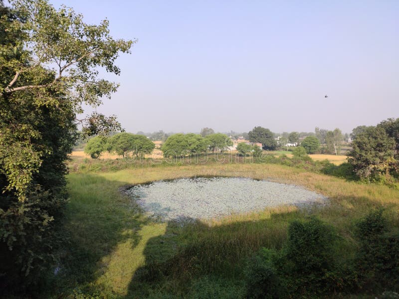 Morning View of Tree & Pond Stock Image - Image of pose, mobile: 165832033