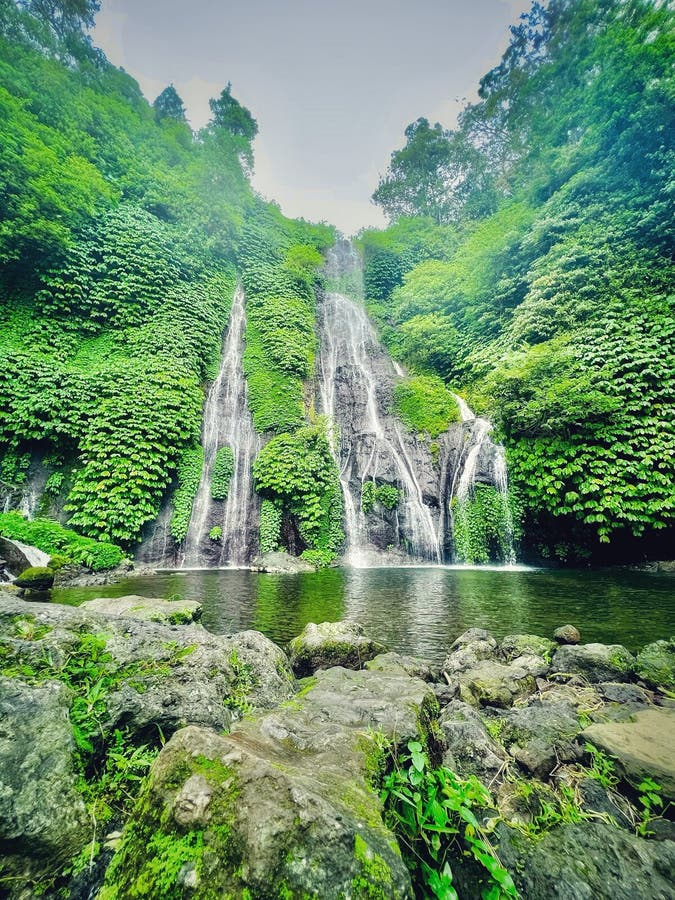 Morning View of the Waterfall and Green Forest Stock Photo - Image of ...