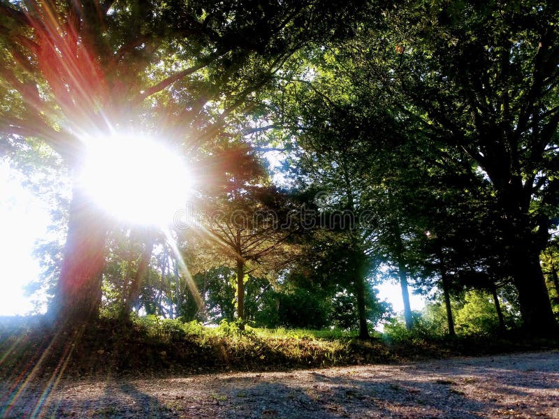 Morning Views in My Village Stock Image - Image of village, beauty ...