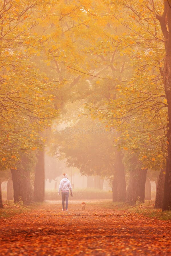 Morning walk to work editorial photography. Image of active - 37919717