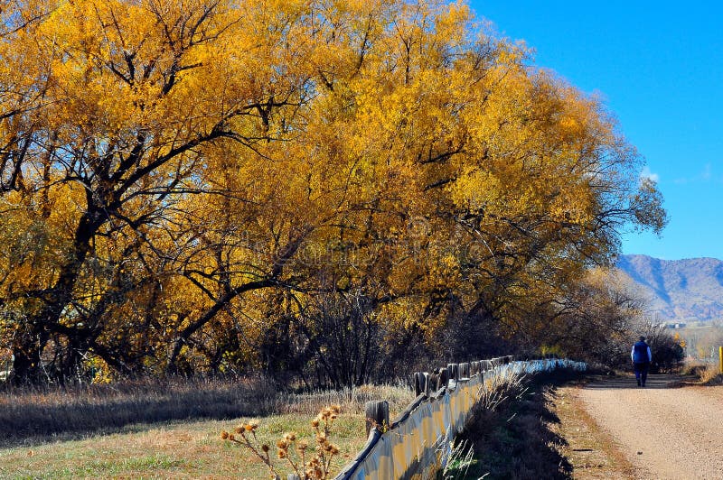 Morning Walk stock image. Image of country, autumn, relax - 31877501
