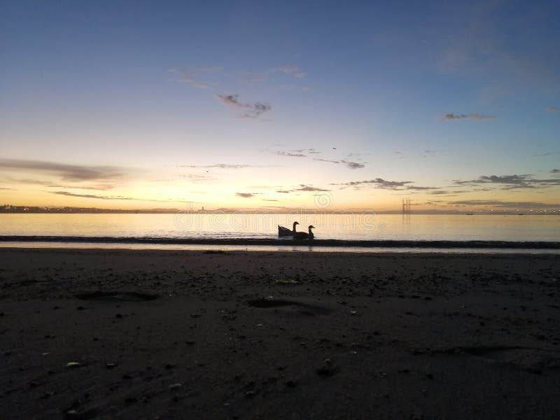 Morning walk on the beach. stock photo. Image of sunrise - 227685480