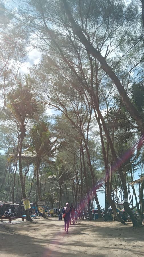 Morning walk on the beach editorial photography. Image of nature ...