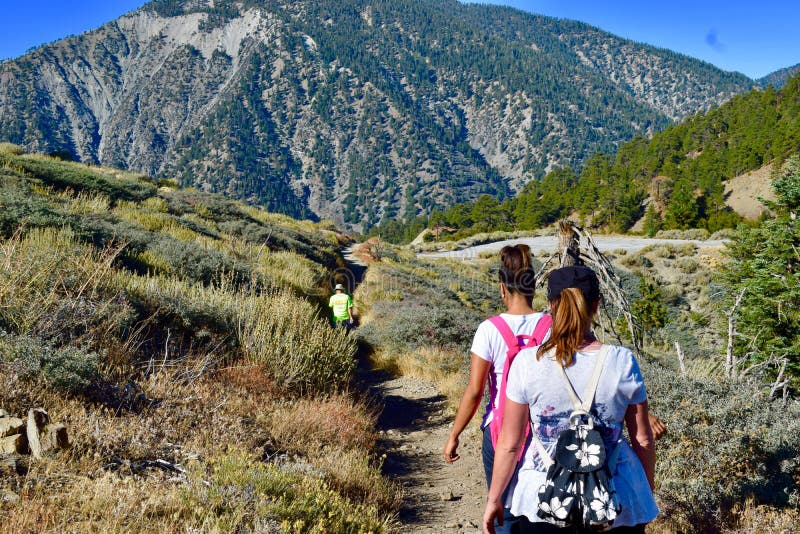 Morning Walk in Wrightwood California Editorial Stock Image - Image of ...