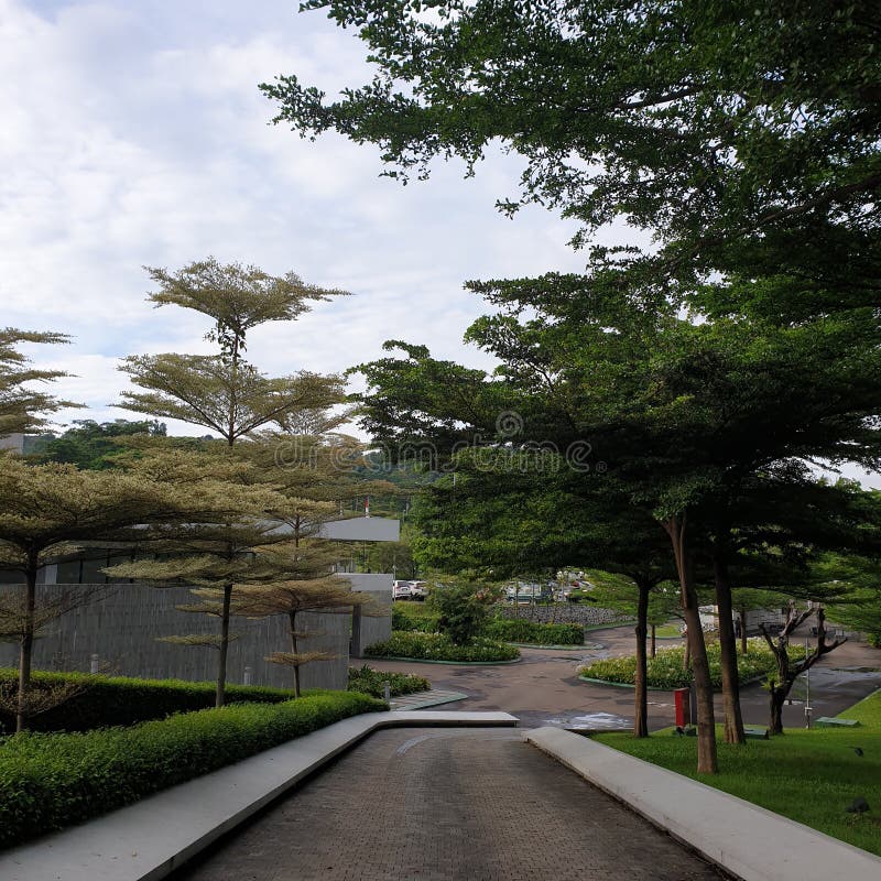 Morning Walk from Hotel in Bogor with Trees Stock Photo - Image of ...