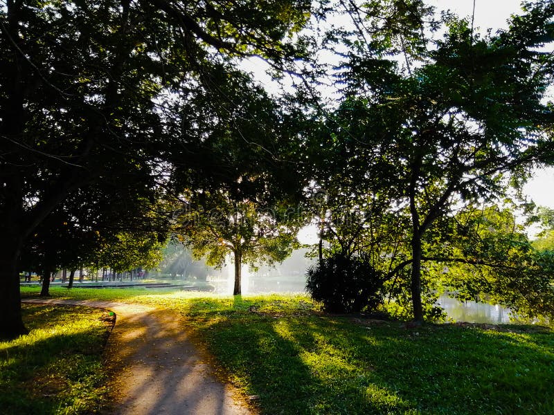 Morning walk in the park stock image. Image of fresh - 181595229