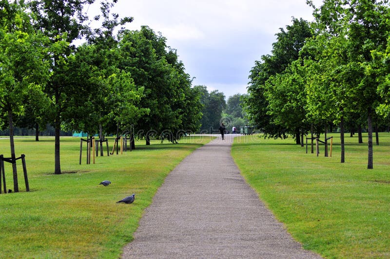 The Morning Walking the Park. Stock Photo - Image of path, walking ...