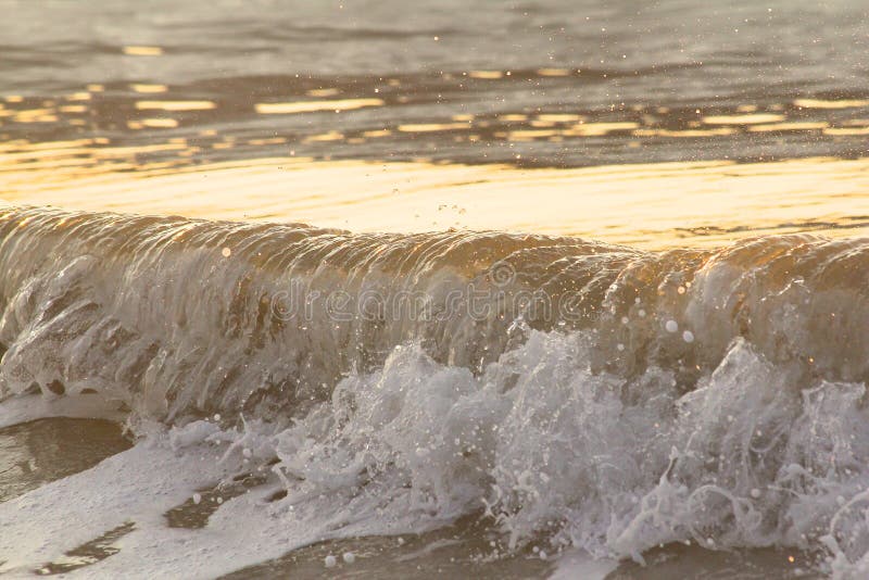 Morning waves stock photo. Image of brown, tube, hard - 41883256