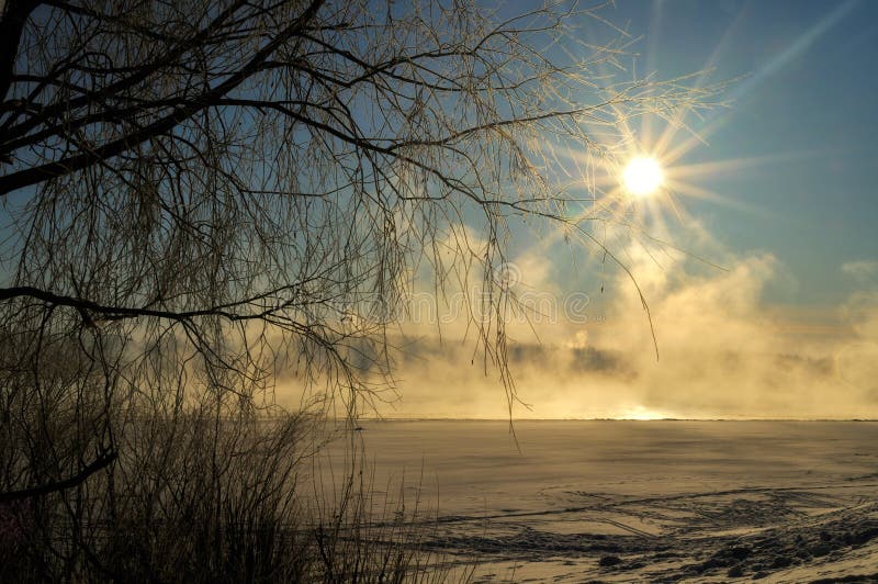 Winter mist stock image. Image of mist, trees, mysterious - 55587