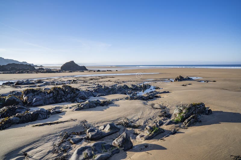 Morning Winter Landscape. Snow Trees and Frosty Fog on the Field. Stock ...