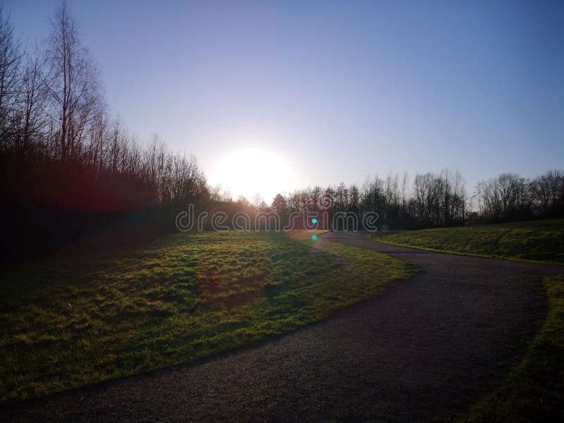 Sunrise stock photo. Image of sunrise, trees, park, light - 169624166