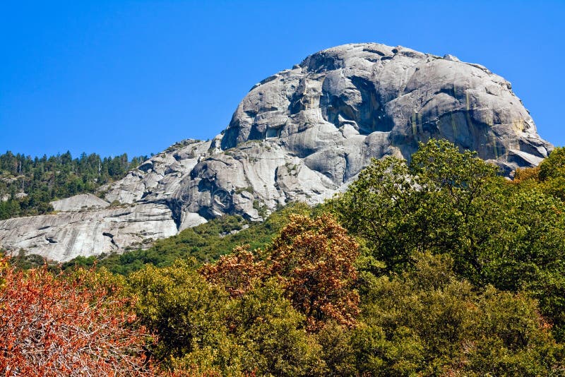 Moro Rock stock image. Image of peak, dramatic, green - 11716831